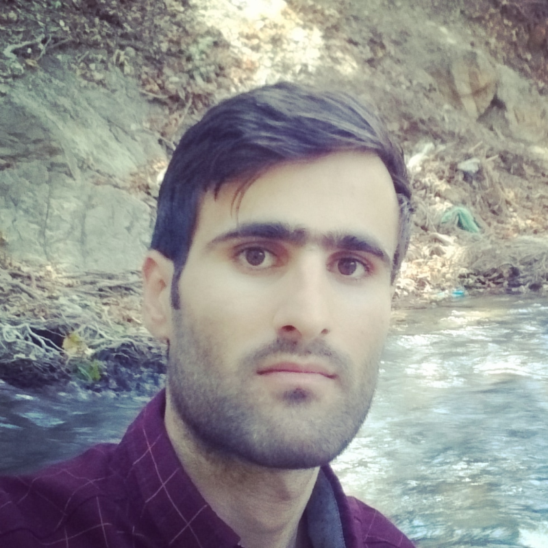 ZIRES - saeed karimi - ویرگول