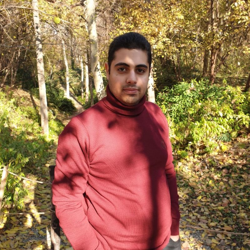 amir mohammad zare zadeh - ویرگول