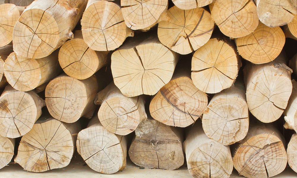 Working with teak wood: Tips and Tricks - ویرگول