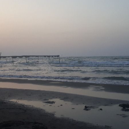 roodabeh ashoorpouri - ویرگول