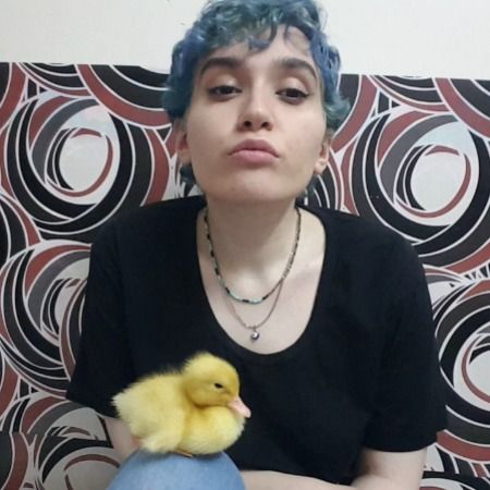 shadi asadi - ویرگول