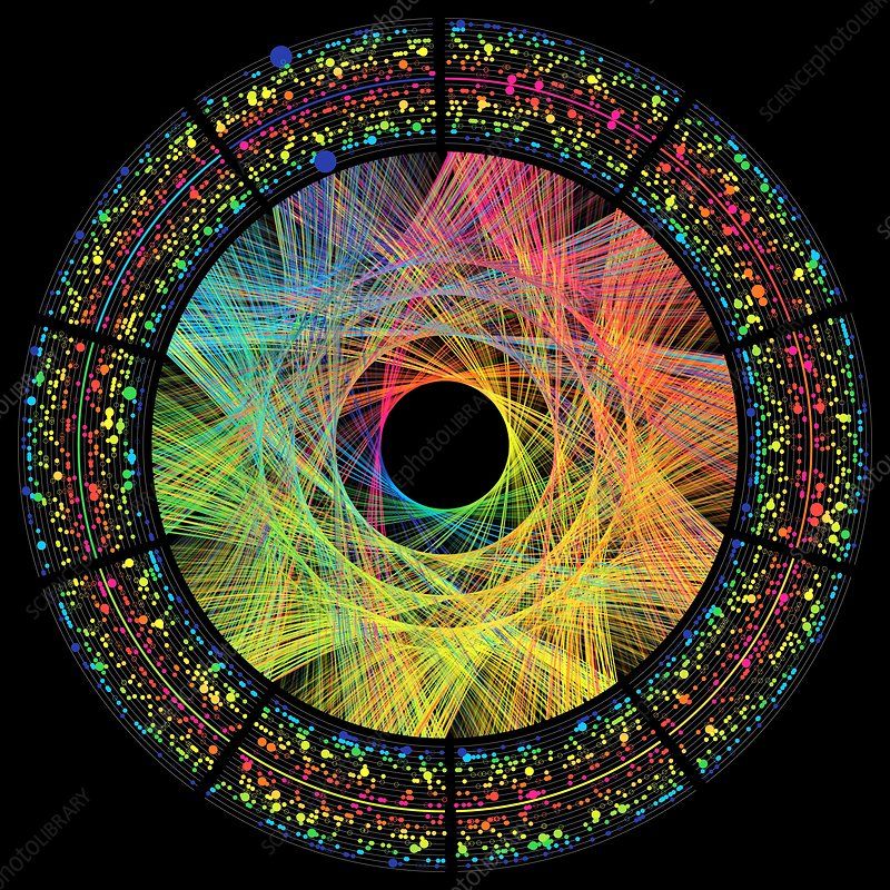 rohola zandie - ویرگول