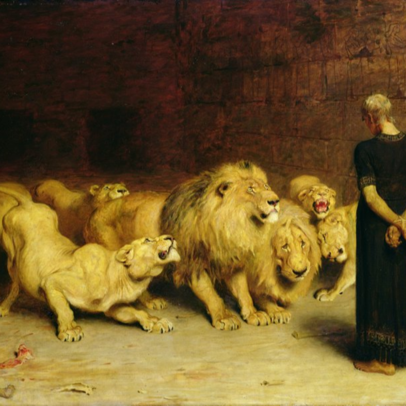 asad tanha - ویرگول