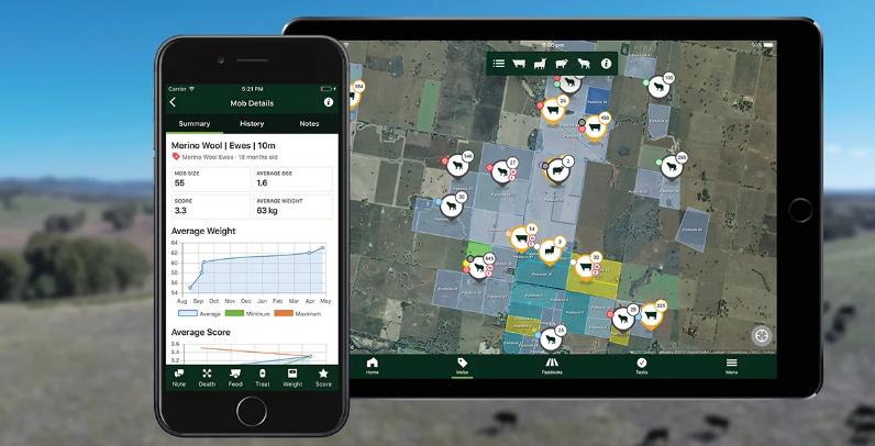 مدیریت دام‌پروری با اپلیکیشن AgriWebb - ویرگول