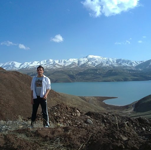 omid safari - ویرگول