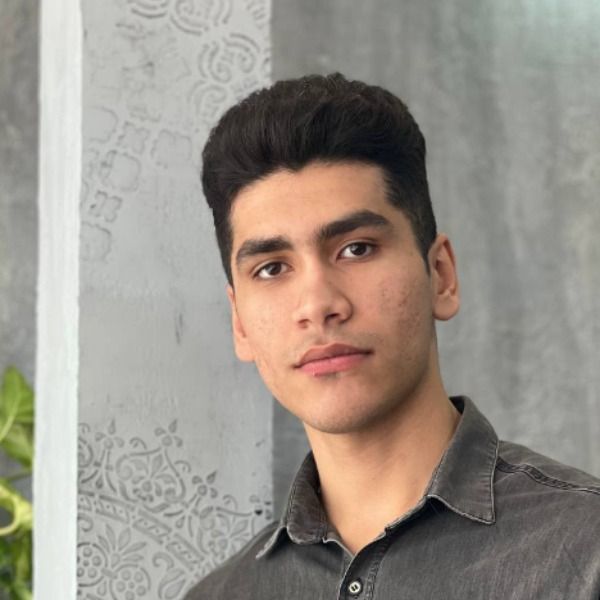 Ali Mohammadi - ویرگول