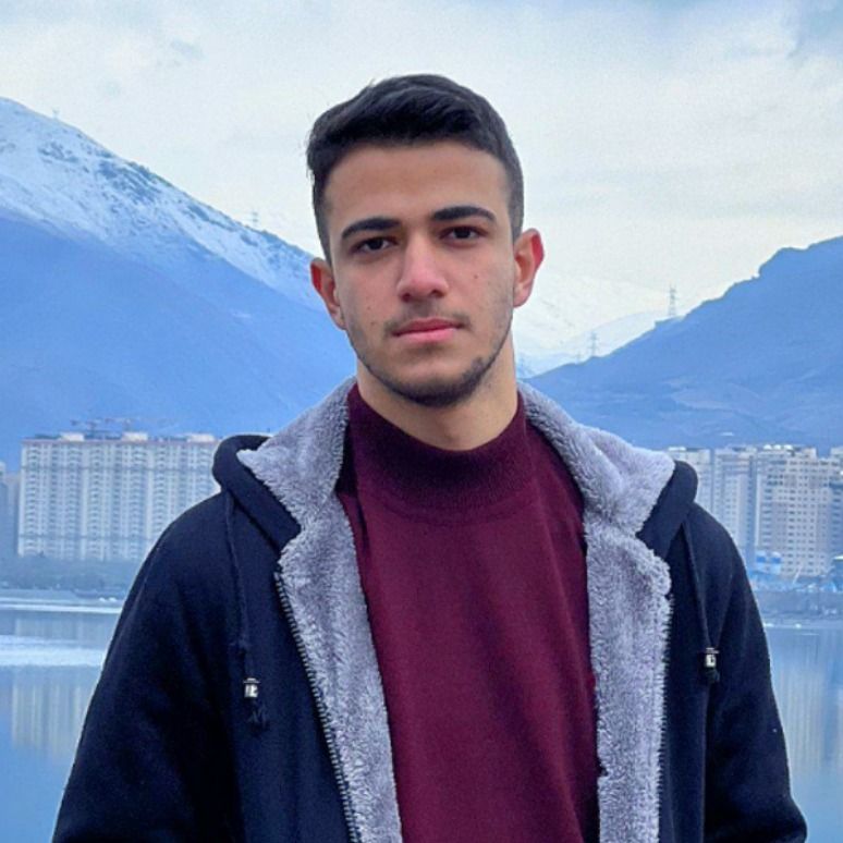 Borhan Dadras - ویرگول