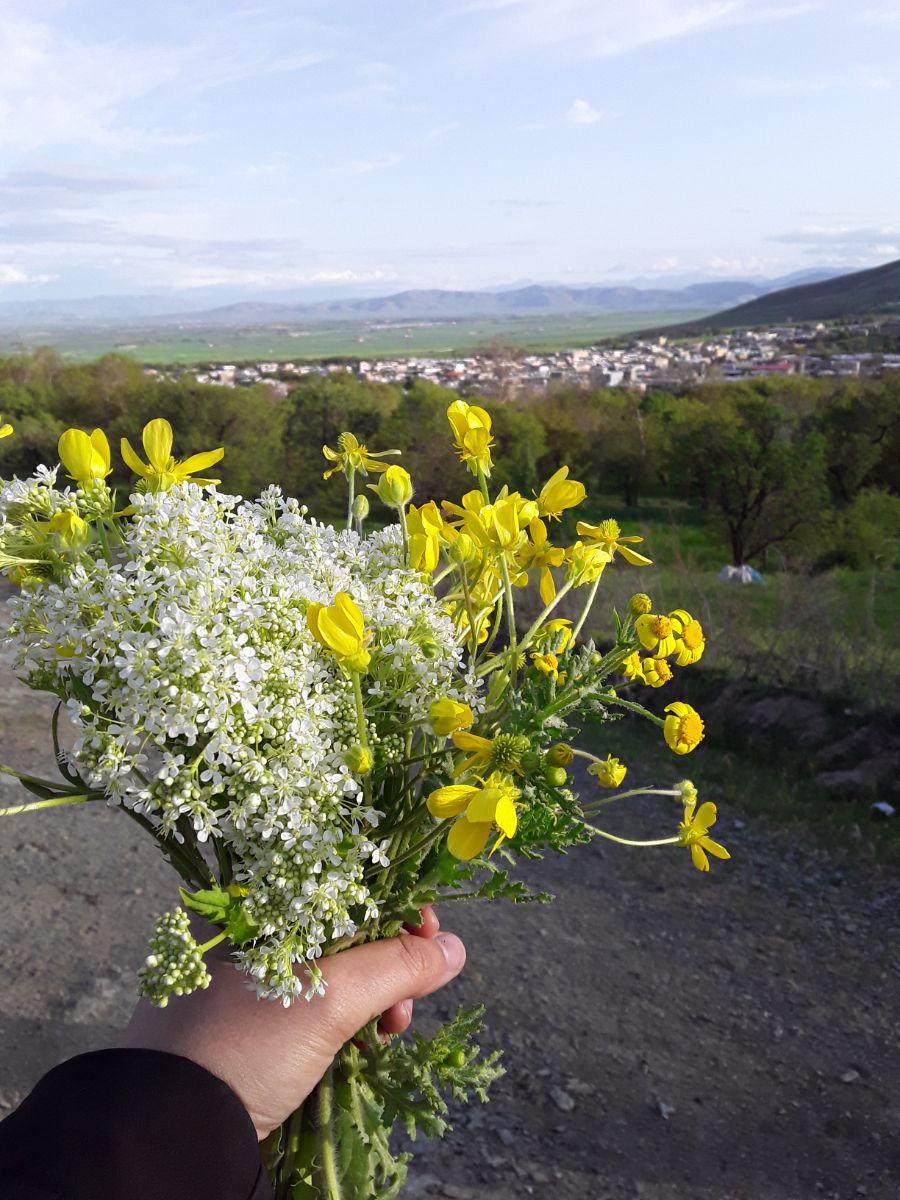 25 عمل محبت آمیز ساده برای حال خوب🙂🌈 - ویرگول
