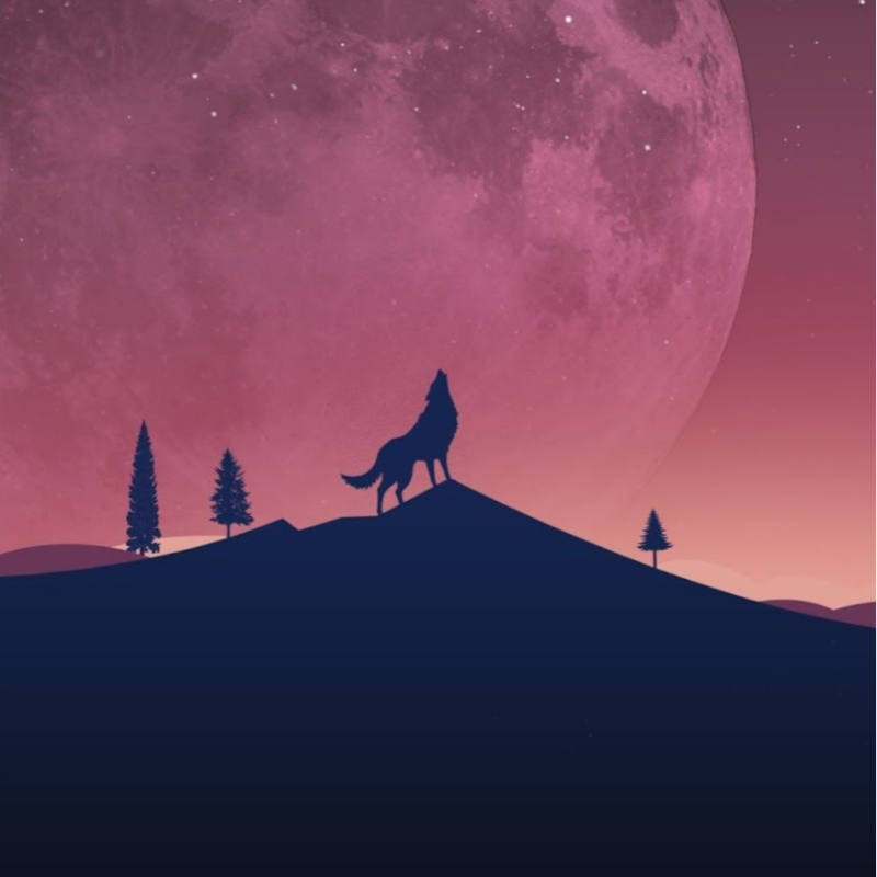 NightWolf - ویرگول