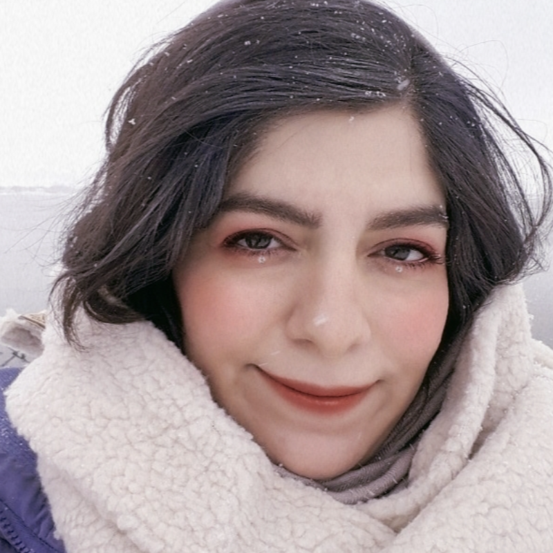 Solmaz Imani - ویرگول