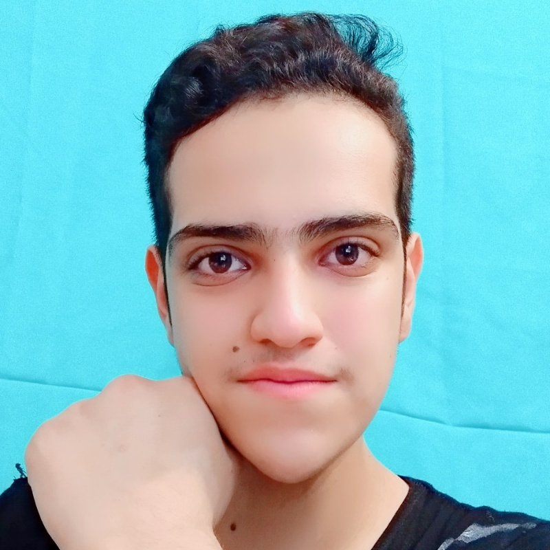 H Karimi 