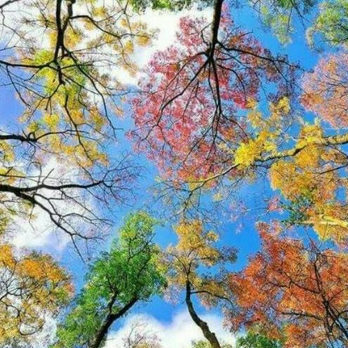 AMIR HOSSEIN RASHEDI - ویرگول