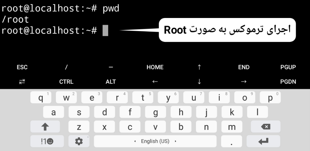  Root 