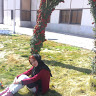 Fahime .akbarian - ویرگول