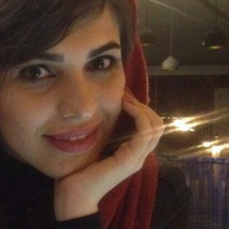 Elham Azizi - ویرگول