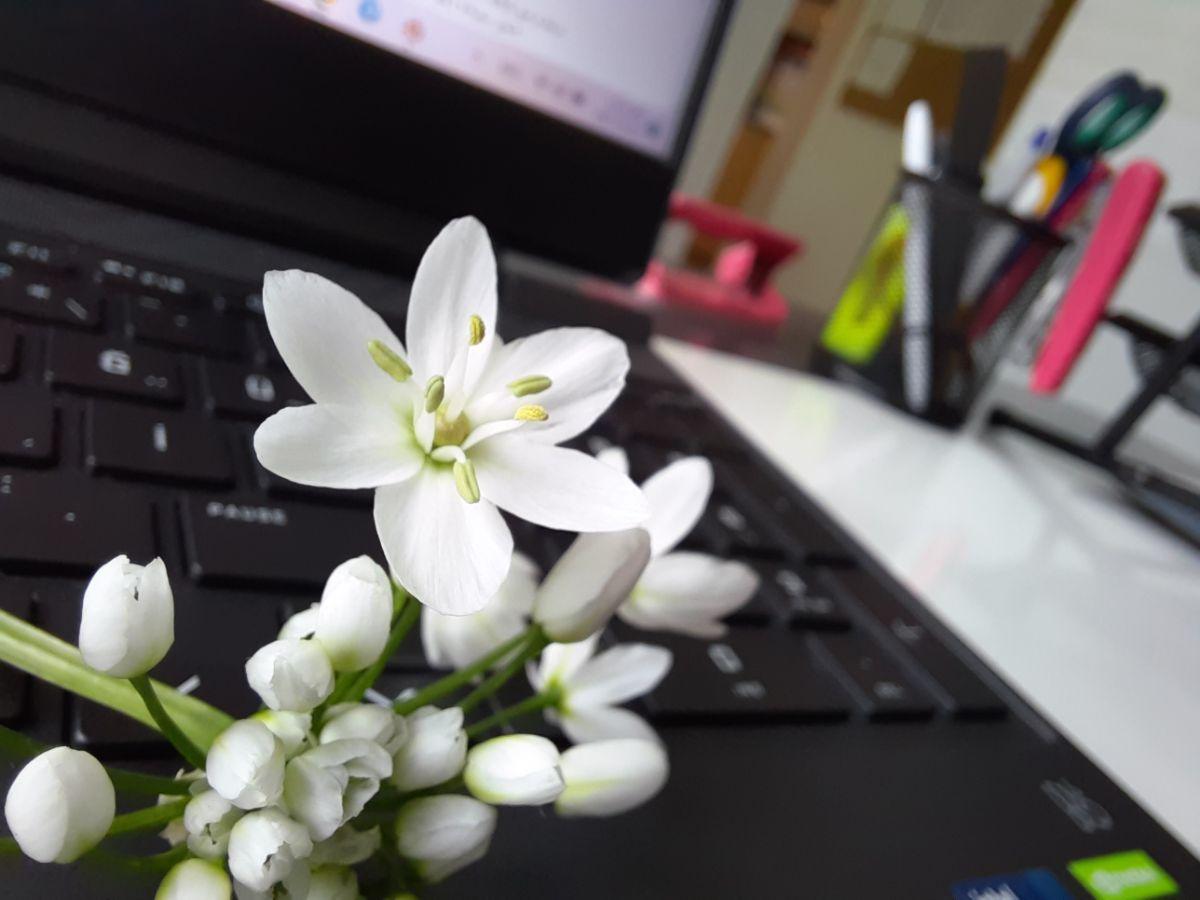 بهار فصل من است... - ویرگول