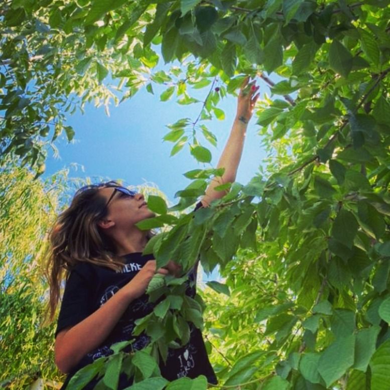 Elahe Zarei - ویرگول